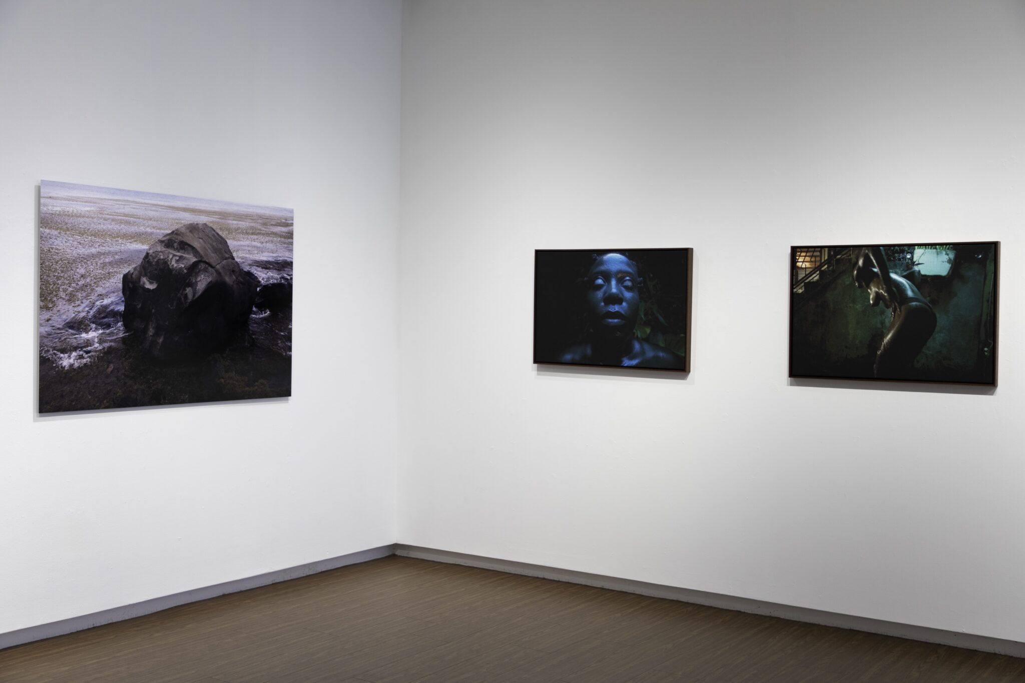 On View - Museum of Fine Arts